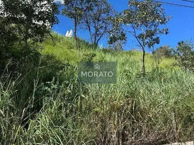 Terreno / Lote para Venda em Belo Horizonte/MG Manacás