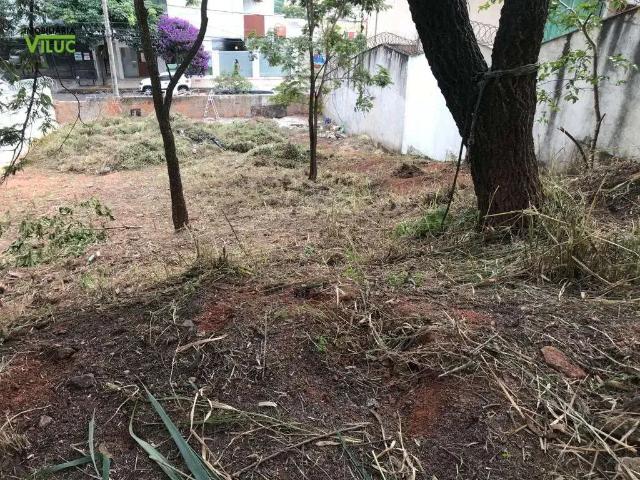 Terreno / Lote para Venda em Belo Horizonte/MG Manacás