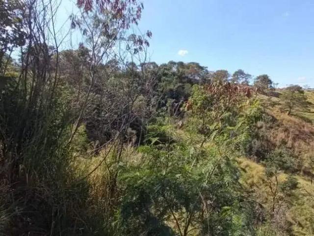 Terreno / Lote para Venda em Belo Horizonte/MG Manacás