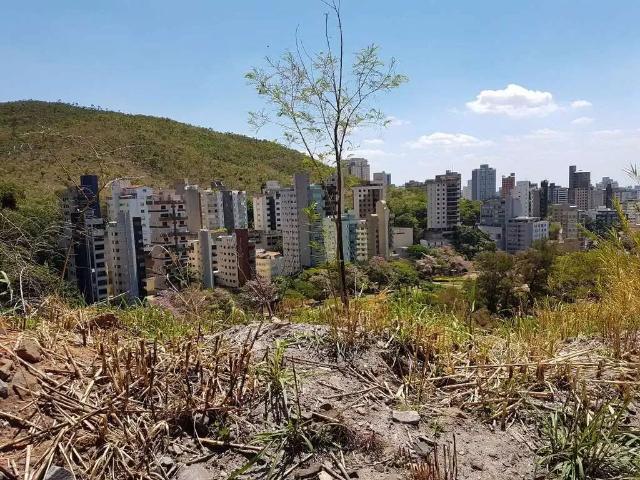 Terreno / Lote para Venda em Belo Horizonte/MG Mangabeiras