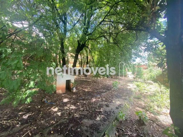 Terreno / Lote para Venda em Belo Horizonte/MG Nazaré