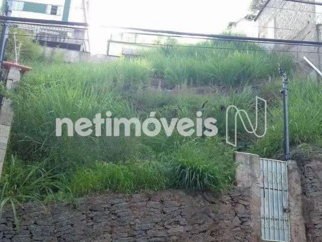 Terreno / Lote para Venda em Belo Horizonte/MG Nova Floresta