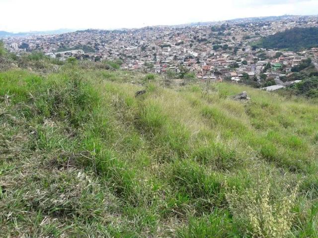 Terreno / Lote para Venda em Belo Horizonte/MG Acaiaca