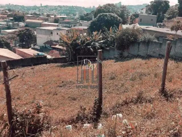 Terreno / Lote para Venda em Belo Horizonte/MG Betânia