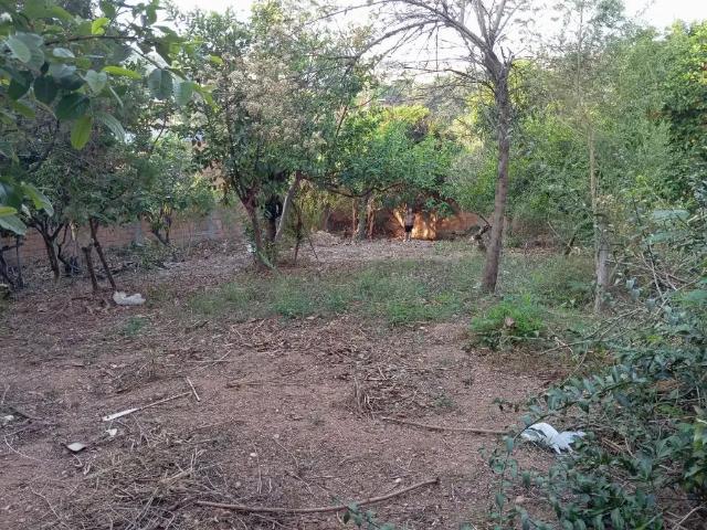 Terreno / Lote para Venda em Belo Horizonte/MG Bonsucesso Barreiro