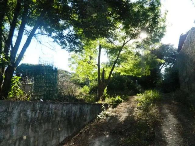 Terreno / Lote para Venda em Belo Horizonte/MG Braúnas