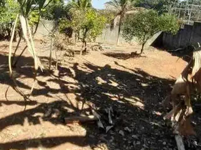Terreno / Lote para Venda em Belo Horizonte/MG Braúnas