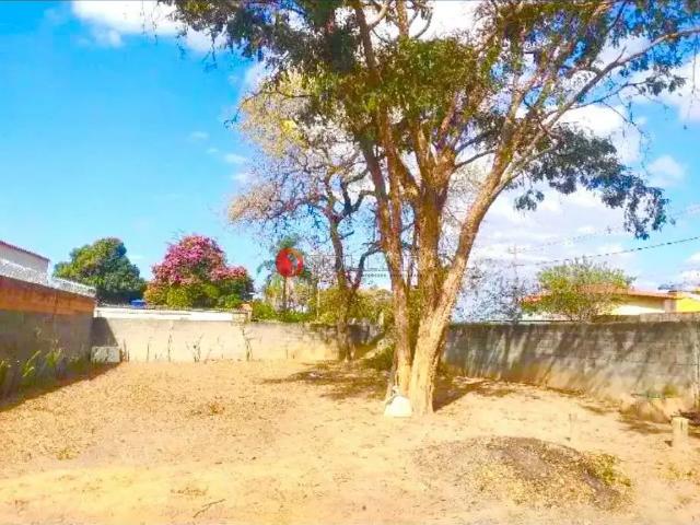 Terreno / Lote para Venda em Belo Horizonte/MG Braúnas