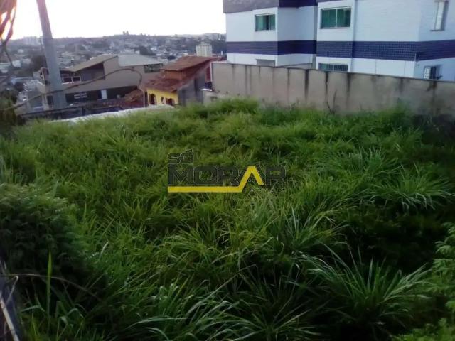 Terreno / Lote para Venda em Belo Horizonte/MG Cachoeirinha