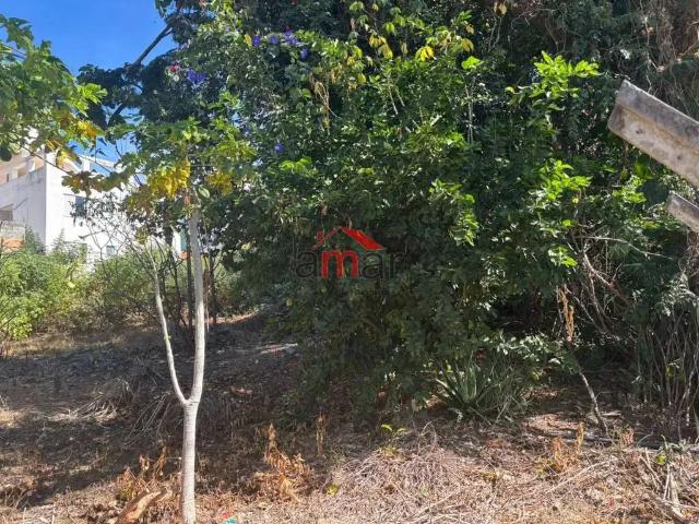 Terreno / Lote para Venda em Belo Horizonte/MG Castelo