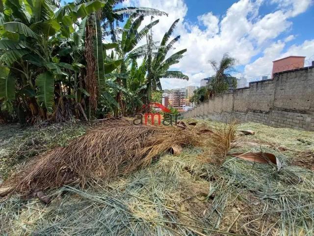 Terreno / Lote para Venda em Belo Horizonte/MG Castelo