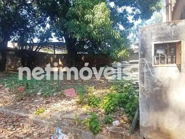 Terreno / Lote para Venda em Belo Horizonte/MG Cinquentenario 1 Quartos