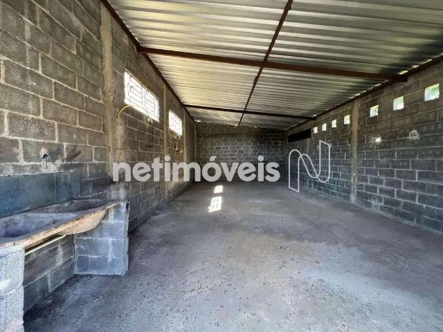 Terreno / Lote para Venda em Belo Horizonte/MG Concórdia