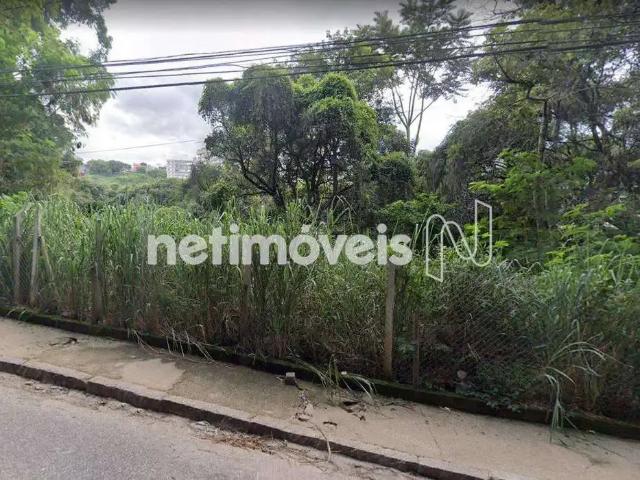 Terreno / Lote para Venda em Belo Horizonte/MG Coração de Jesus