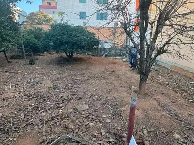 Terreno / Lote para Venda em Belo Horizonte/MG Diamante 1 Quartos