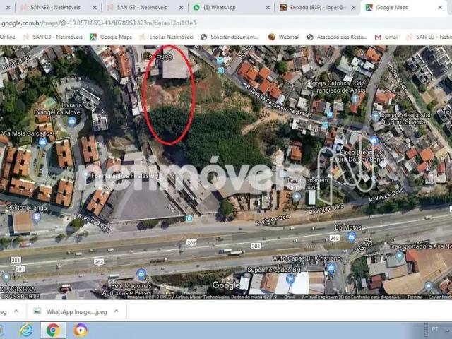 Terreno / Lote para Venda em Belo Horizonte/MG Dom Silvério