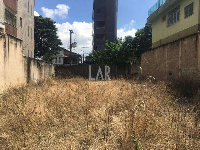 Terreno / Lote para Venda em Belo Horizonte/MG Dona Clara