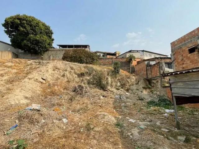 Terreno / Lote para Venda em Belo Horizonte/MG Engenho Nogueira