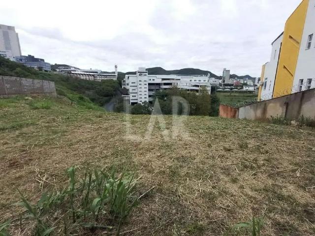 Terreno / Lote para Venda em Belo Horizonte/MG Estoril
