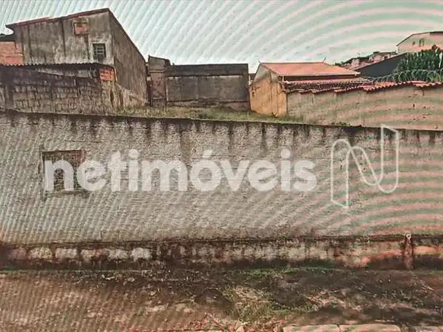 Terreno / Lote para Venda em Belo Horizonte/MG Flávio Marques Lisboa