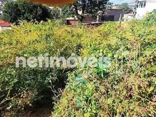Terreno / Lote para Venda em Belo Horizonte/MG Flávio Marques Lisboa