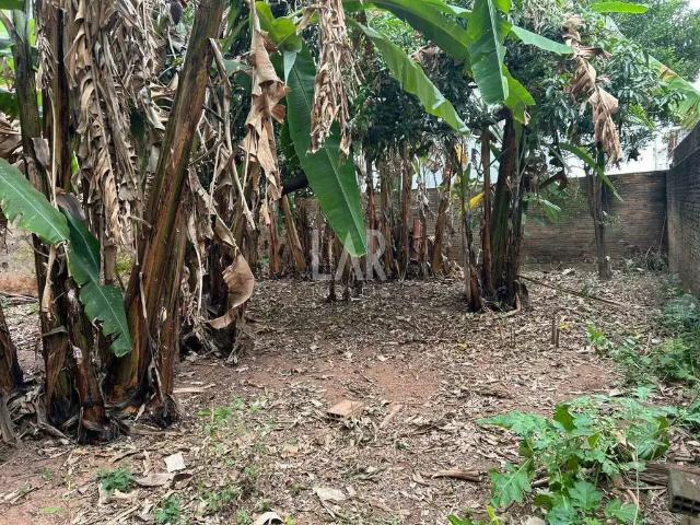 Terreno / Lote para Venda em Belo Horizonte/MG Floramar