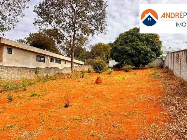 Terreno / Lote para Venda em Belo Horizonte/MG Garças
