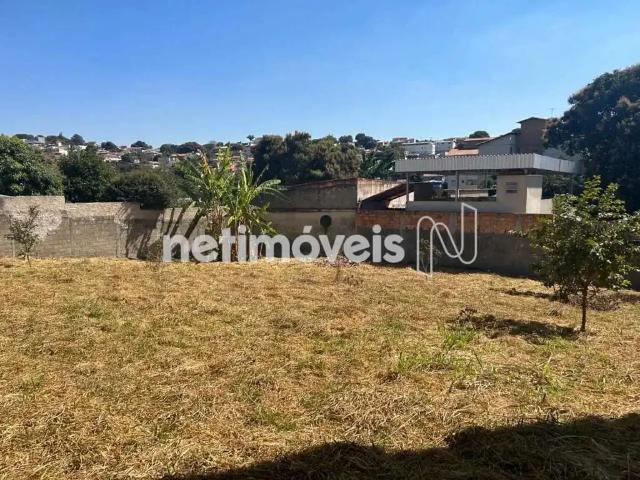 Terreno / Lote para Venda em Belo Horizonte/MG Glória