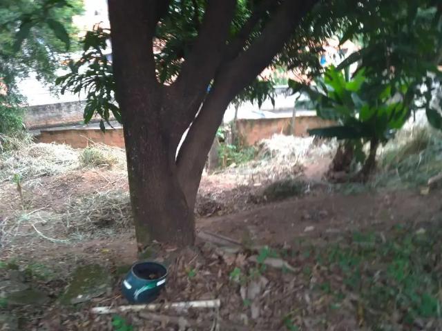 Terreno / Lote para Venda em Belo Horizonte/MG Graça