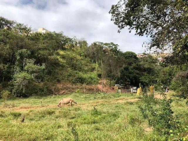 Terreno / Lote para Venda em Belo Horizonte/MG Granja de Freitas