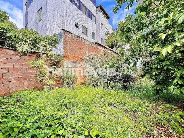 Terreno / Lote para Venda em Belo Horizonte/MG Heliópolis