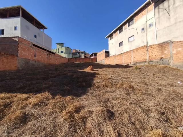 Terreno / Lote para Venda em Belo Horizonte/MG Juliana