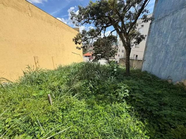 Terreno / Lote para Venda em Belo Horizonte/MG Jaqueline