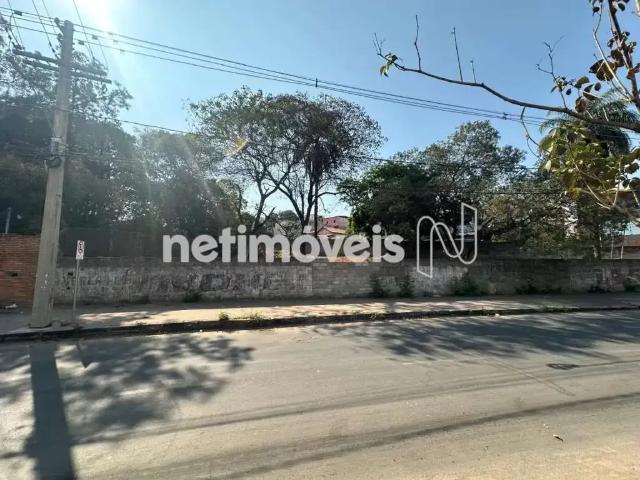 Terreno / Lote para Venda em Belo Horizonte/MG Jaqueline 1 Quartos
