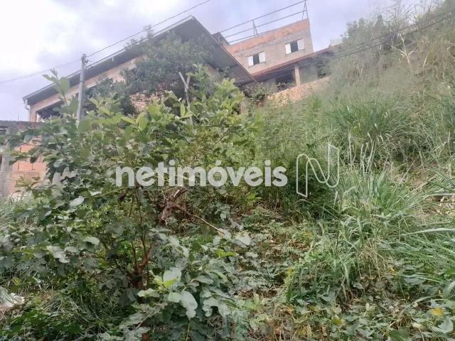 Terreno / Lote para Venda em Belo Horizonte/MG Jardim Vitória