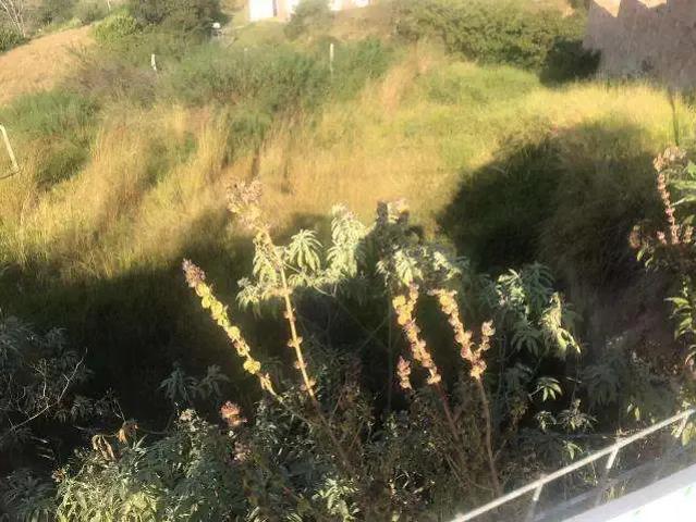 Terreno / Lote para Venda em Belo Horizonte/MG Jardim Vitória
