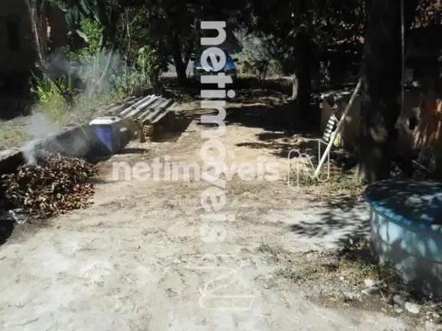 Terreno / Lote para Venda em Belo Horizonte/MG Letícia