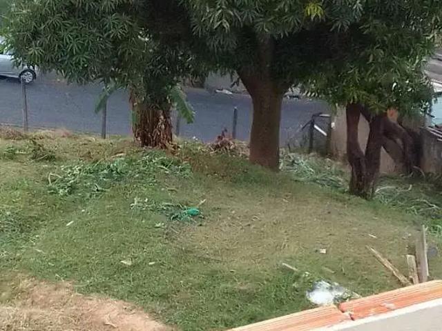 Terreno / Lote para Venda em Belo Horizonte/MG Padre Eustáquio