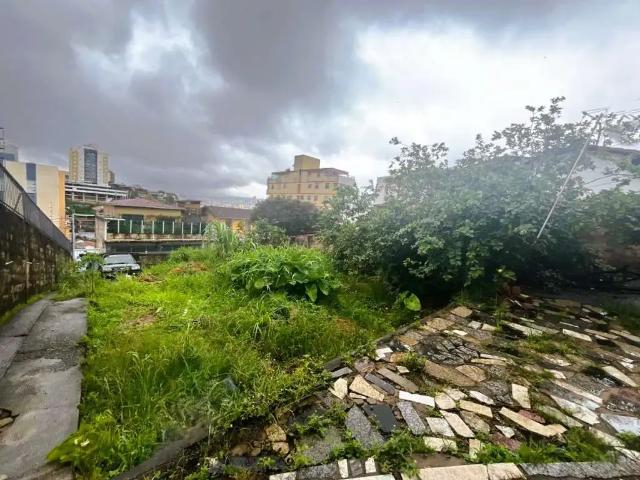 Terreno / Lote para Venda em Belo Horizonte/MG Padre Eustáquio 1 Quartos