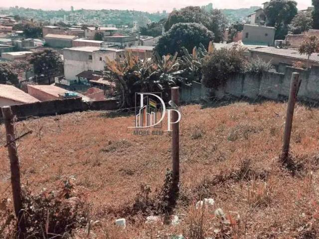Terreno / Lote para Venda em Belo Horizonte/MG Palmeiras