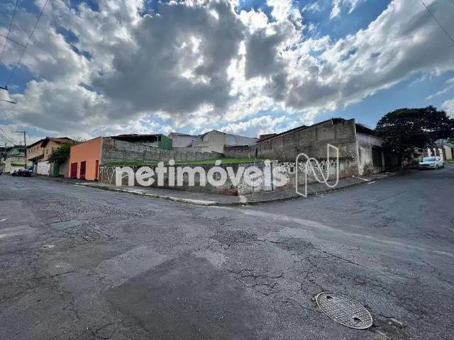 Terreno / Lote para Venda em Belo Horizonte/MG Palmeiras