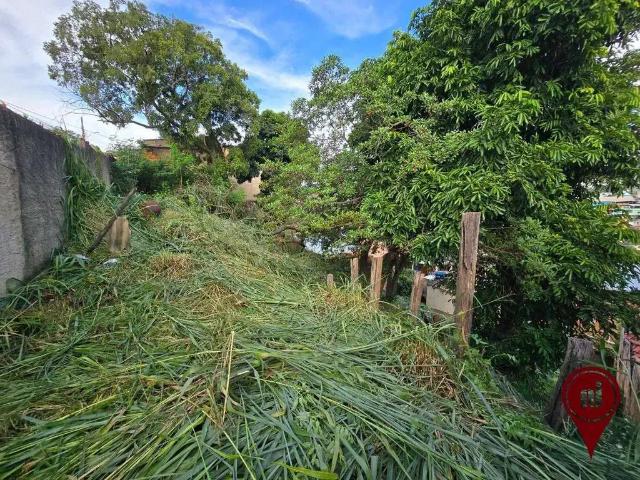 Terreno / Lote para Venda em Belo Horizonte/MG Palmeiras