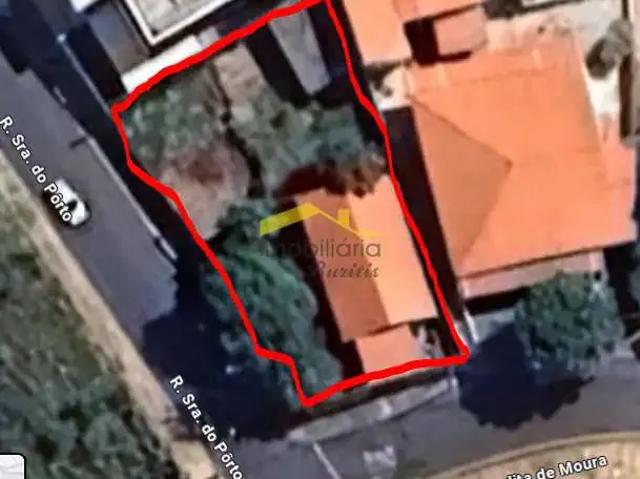 Terreno / Lote para Venda em Belo Horizonte/MG Palmeiras