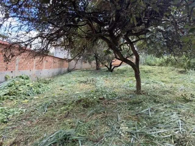 Terreno / Lote para Venda em Belo Horizonte/MG Paquetá