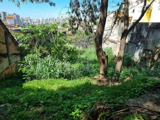 Terreno / Lote para Venda em Belo Horizonte/MG São Bento