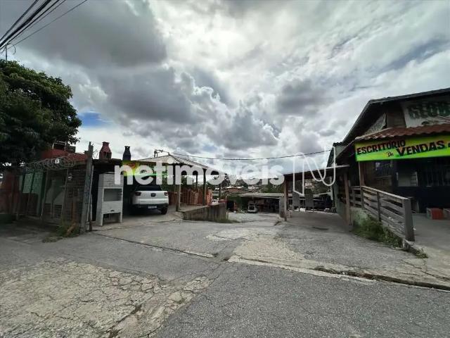 Terreno / Lote para Venda em Belo Horizonte/MG São Bernardo