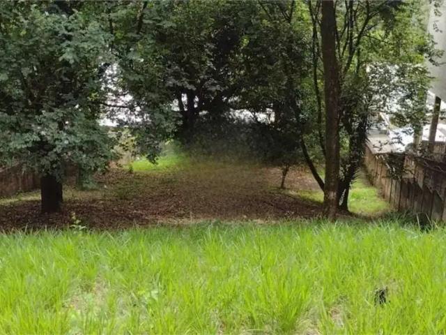 Terreno / Lote para Venda em Belo Horizonte/MG São Francisco