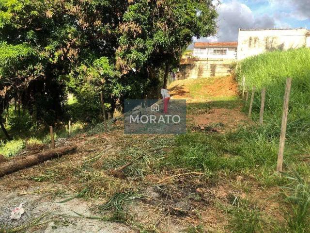 Terreno / Lote para Venda em Belo Horizonte/MG São Francisco
