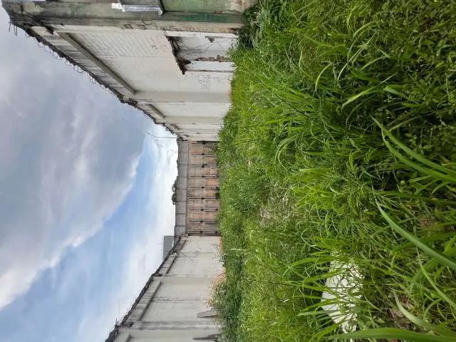 Terreno / Lote para Venda em Belo Horizonte/MG São João Batista
