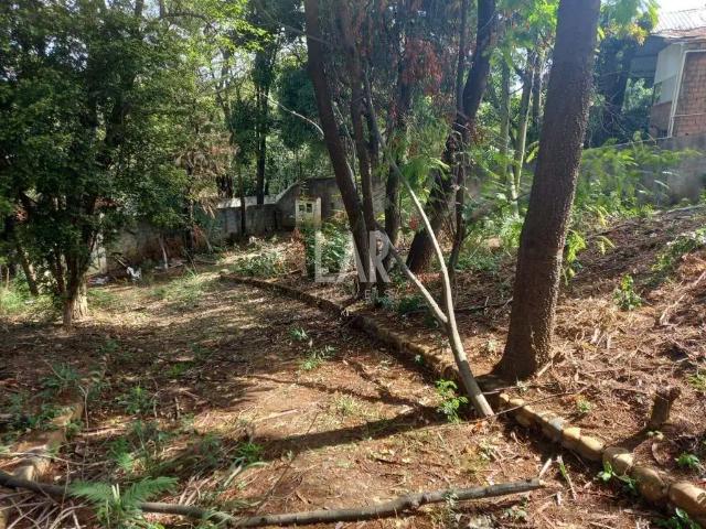 Terreno / Lote para Venda em Belo Horizonte/MG São João Batista